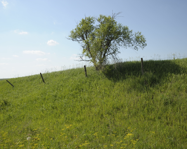 Iowa Landscape « David Ottenstein Photography
