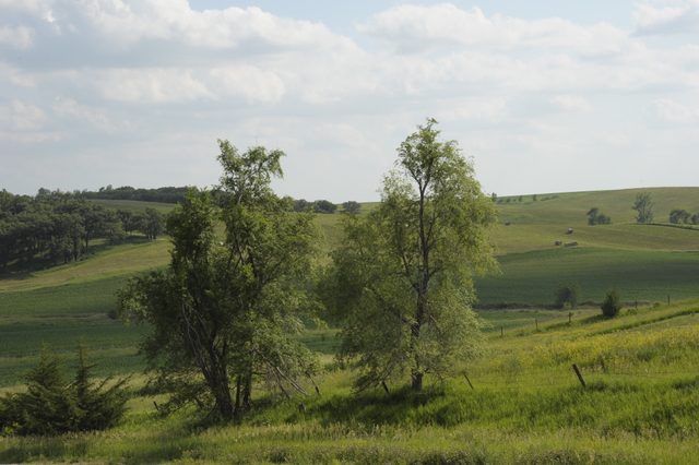 Iowa Landscape « David Ottenstein Photography