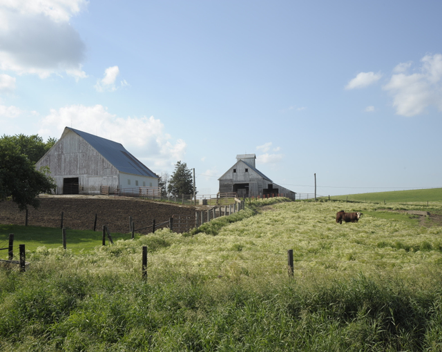 Iowa Landscape « David Ottenstein Photography